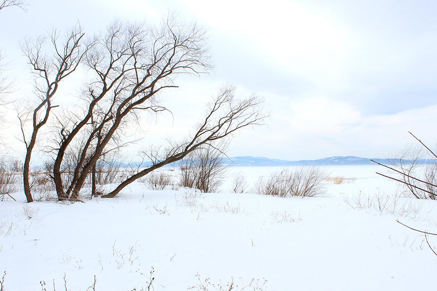 Delta Winter - Lake Champlain Basin Program