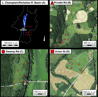 Quantifying phosphorus retained by restored wetlands in the Lake Champlain Basin - Lake ...