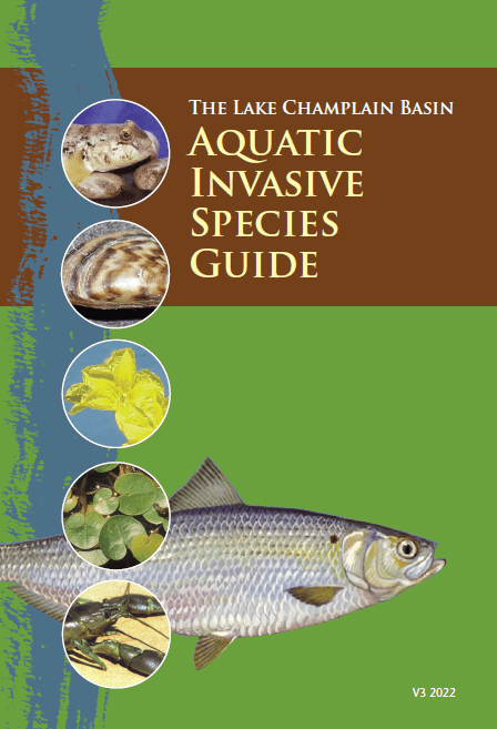 Aquatic Invasive Species Guide Version 3 Available - Lake Champlain ...