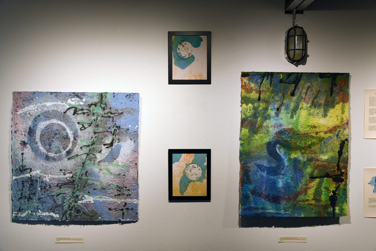 The BluSeed Studio Project - Lake Champlain Basin Program