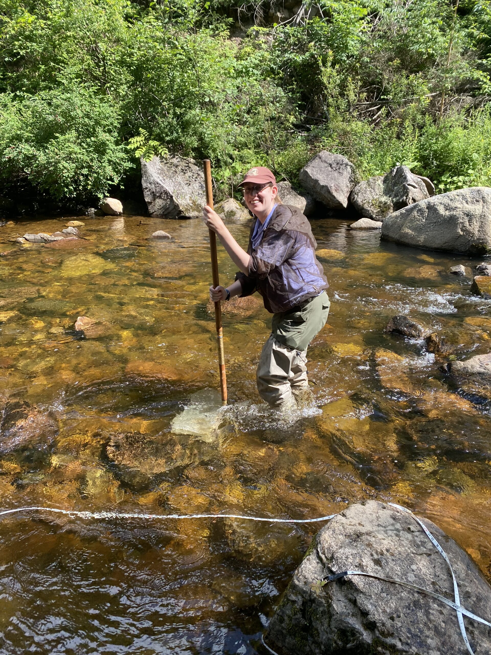 A new interactive mapping tool to steer wetland and riparian management ...