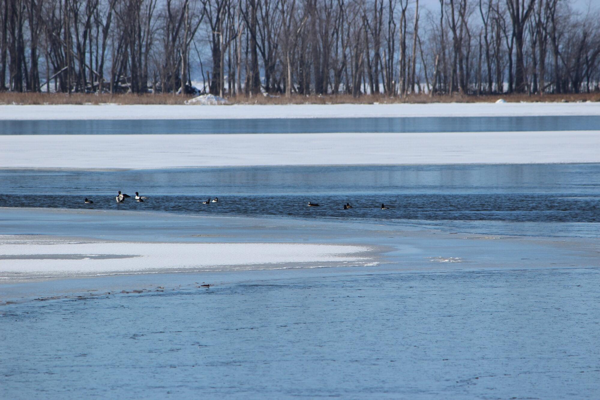Q: What is lake turnover and when does it happen? - Lake Champlain ...