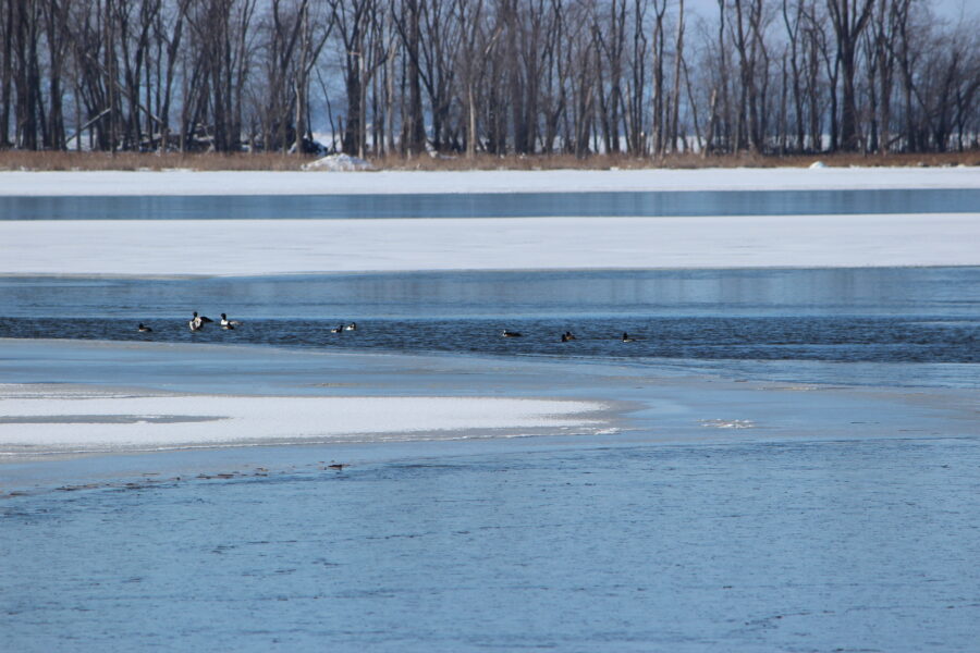 Q: What is lake turnover and when does it happen? - Lake Champlain ...