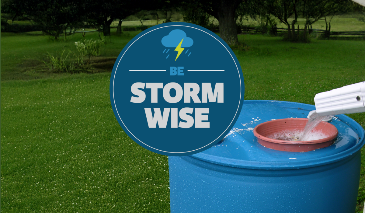 Storm Wise - Lake Champlain Basin Program