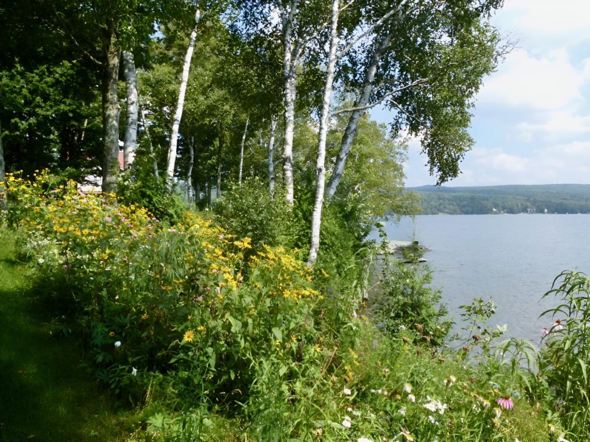 Lakeshore - Lake Champlain Basin Program